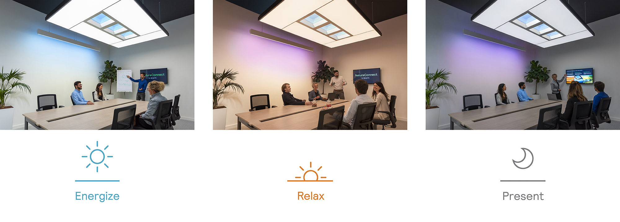 Philips-Nature Connect